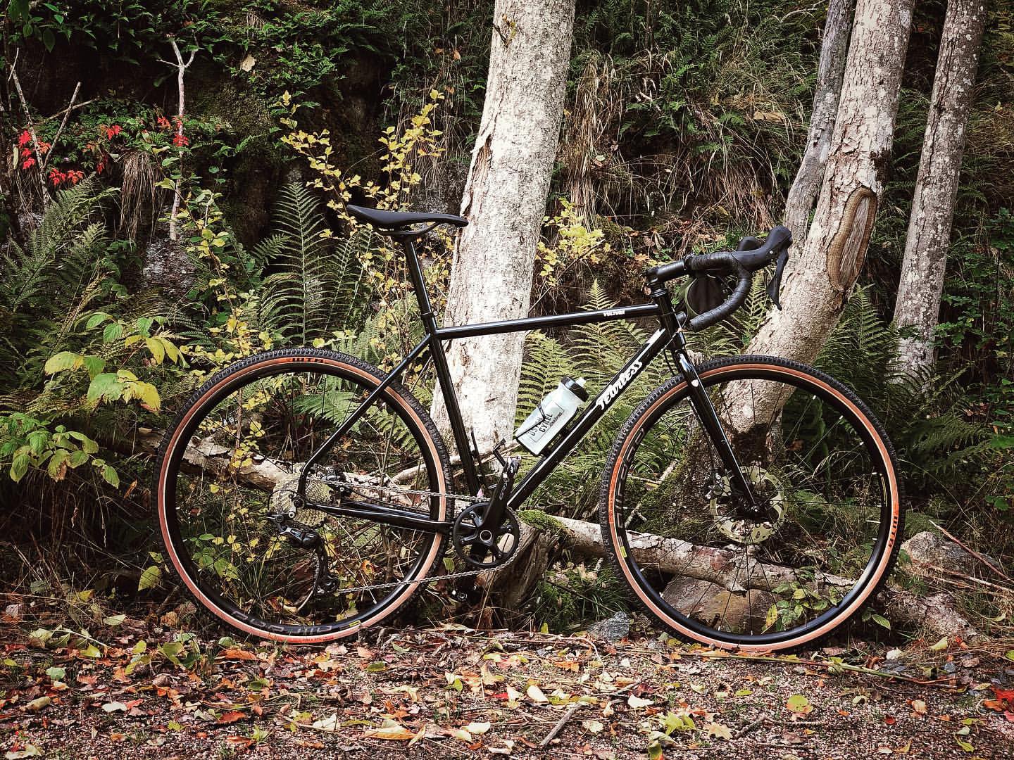 GALLERY | Fearless Bikes